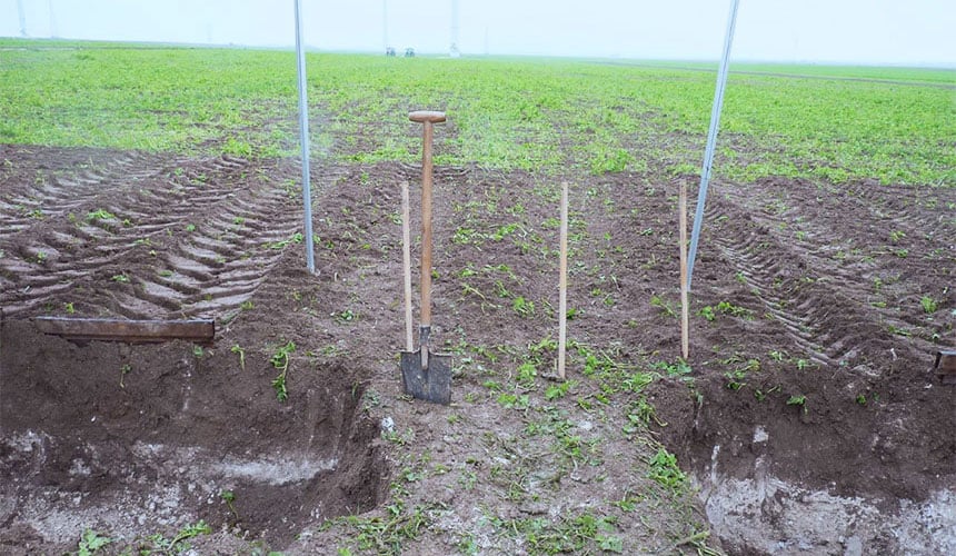 Everything you need to know about soil restoration after the harvest
