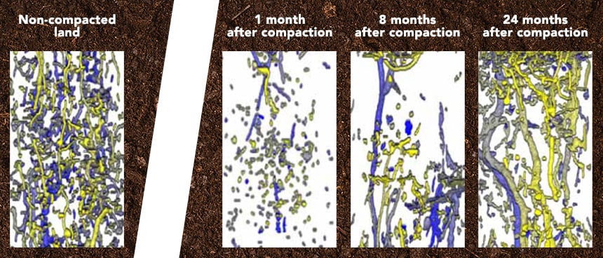 Everything you need to know about soil restoration after the harvest