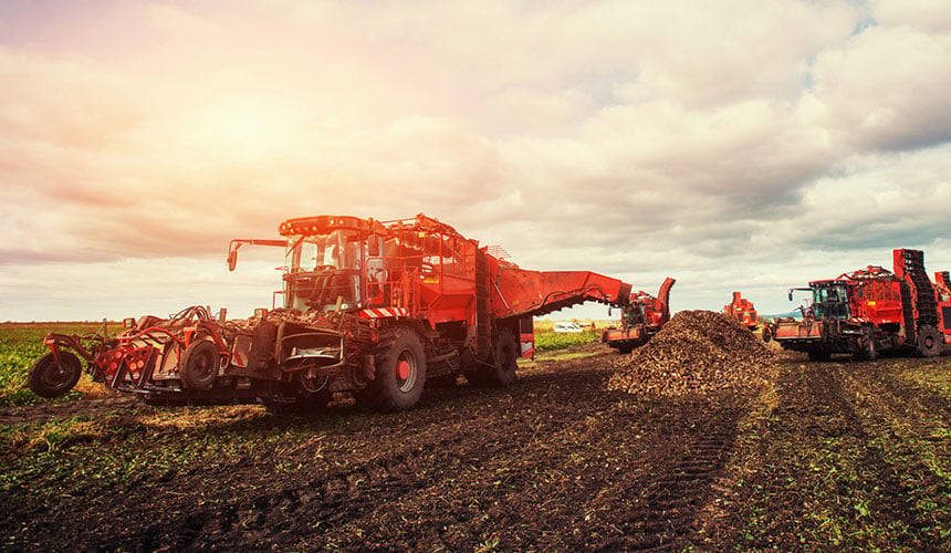 Managing soil recovery after the beet harvest