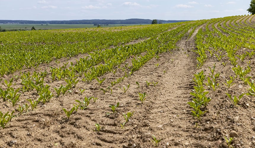 Why are agricultural tyres crucial for soil preservation?