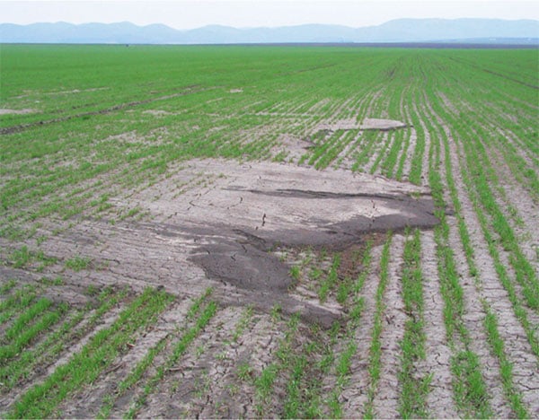 Why are agricultural tyres crucial for soil preservation?